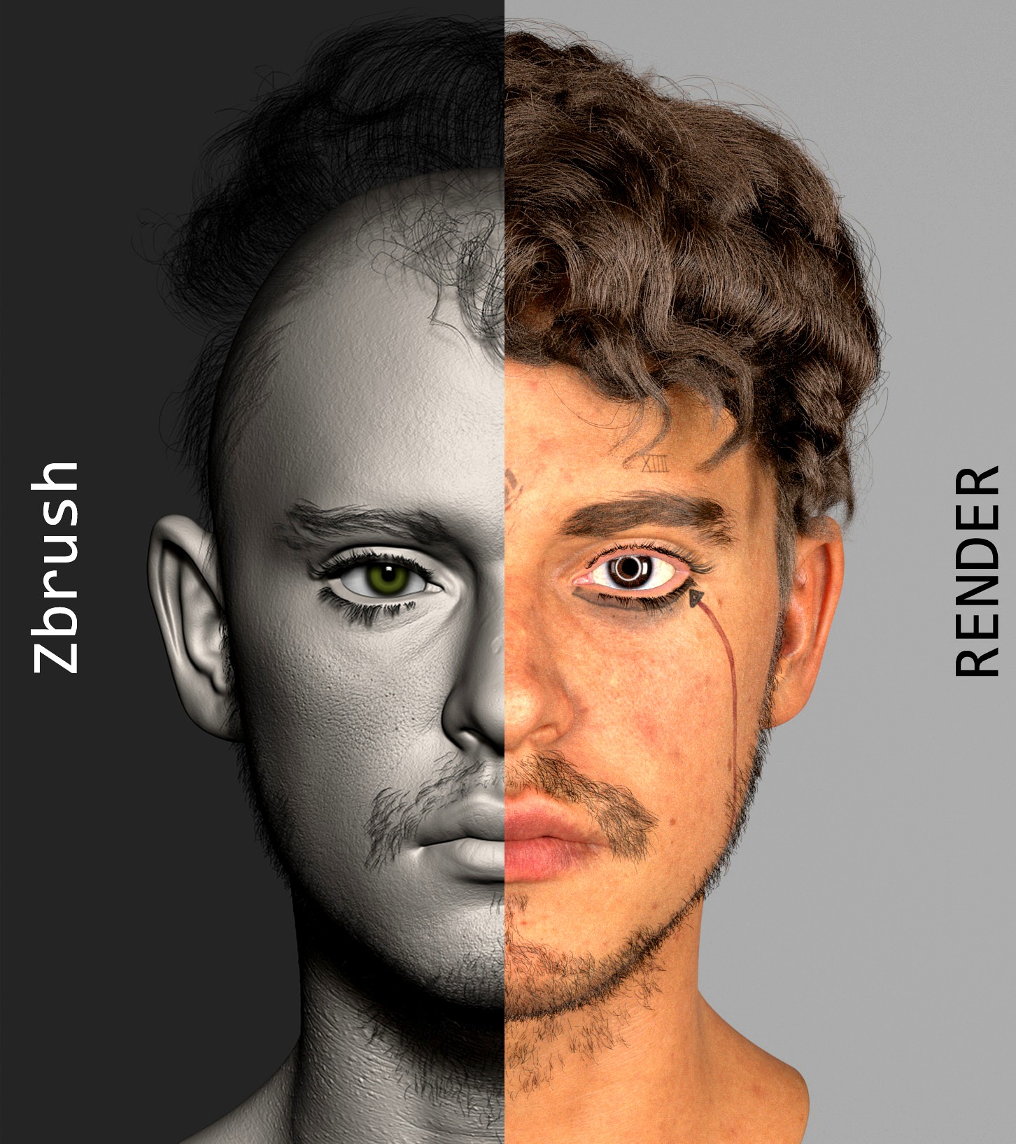 Head Model Basemesh 3d