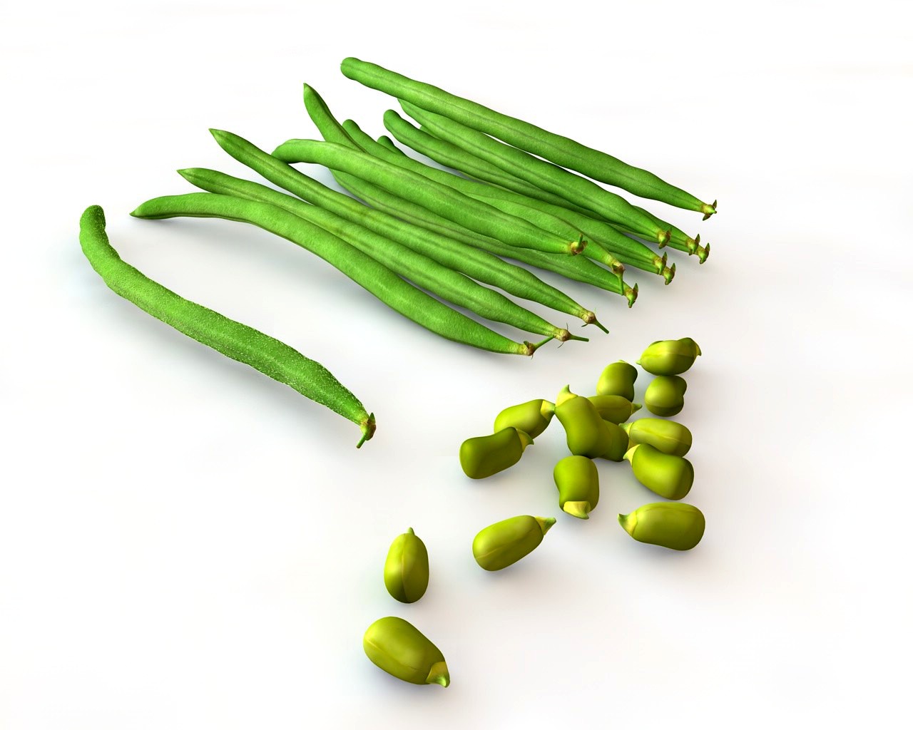 French beans 3D Model
