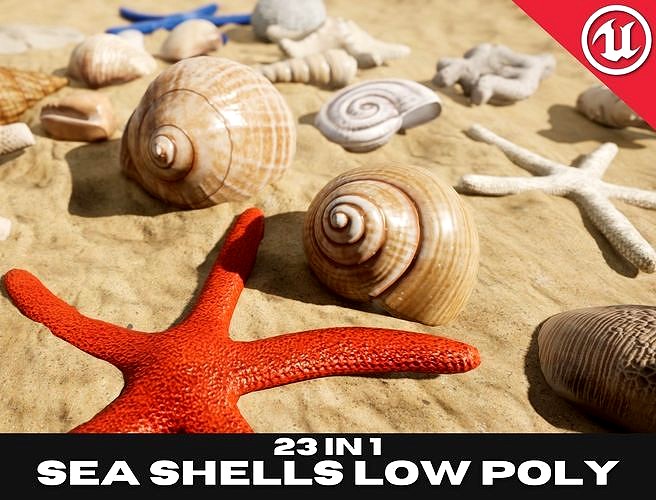 Low Poly Sea Shells Pack with Unreal Engine 5 Project 3d model