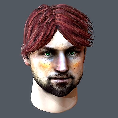 Realistic White Male Head Bundle 3D model Game Ready Low-poly