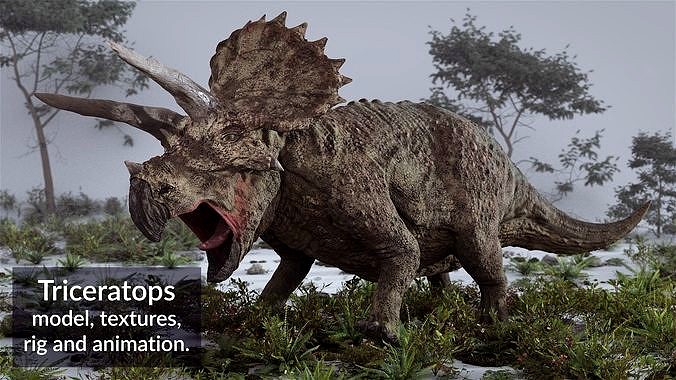 Triceratops model with rig Blender 3d