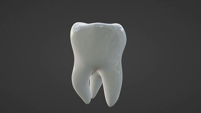 Maxillary Second Molar Human Tooth 3d model
