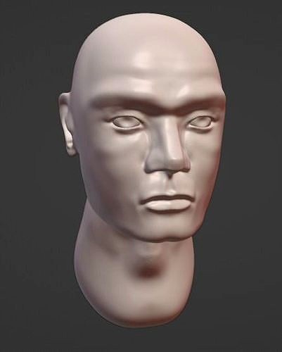 Male Face 3d model