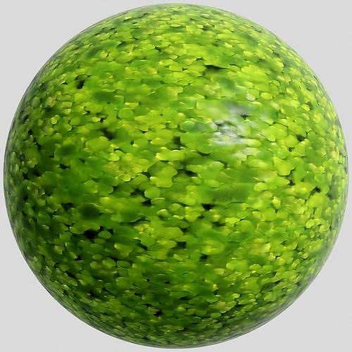 Duckweed - 4K PBR material 3d model