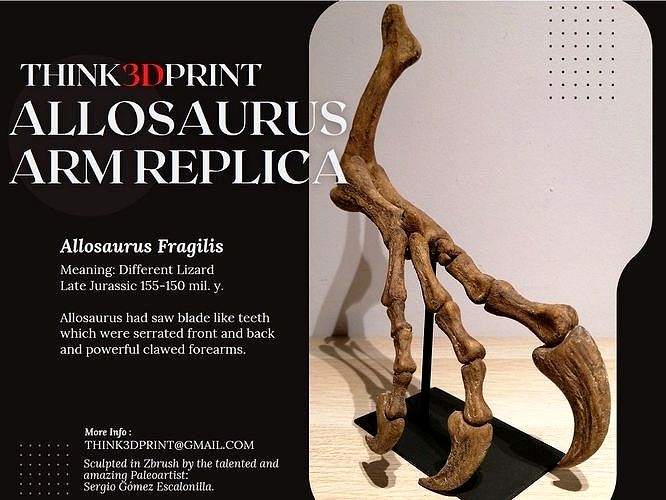 Dinosaur Allosaurus Arm | 3D model