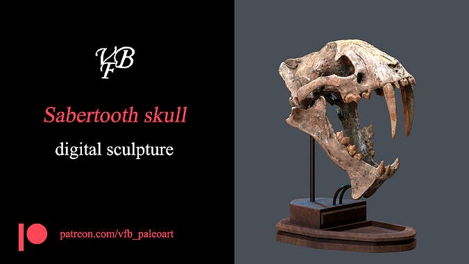 Sabertooth skull | 3D model