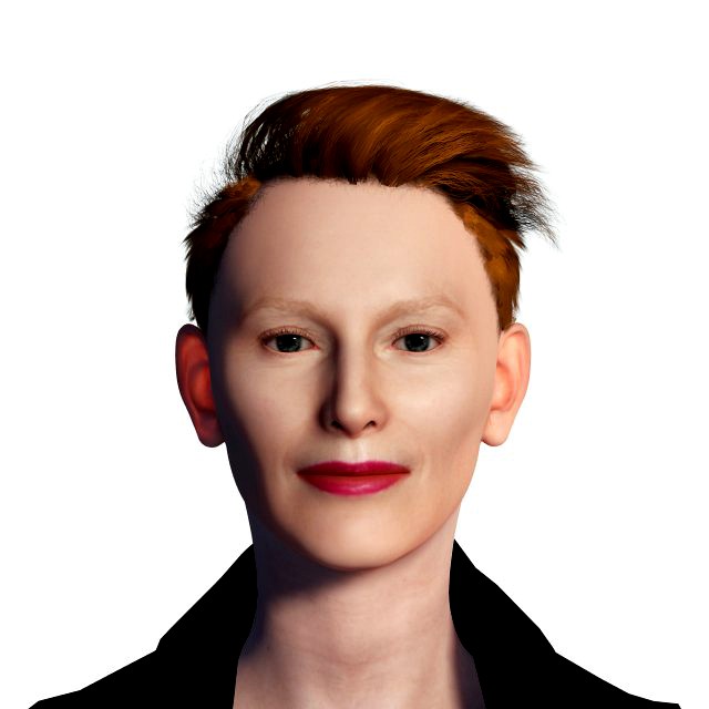 Tilda Swinton 2 3D Rigged model ready for animation