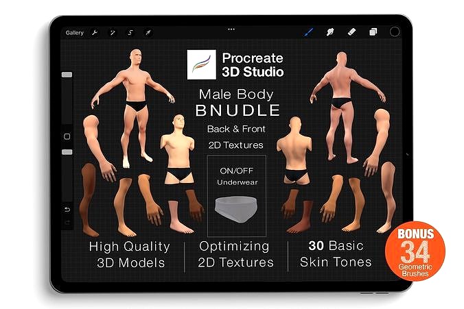 Procreate 3d Model Pack - Male Body Bundle