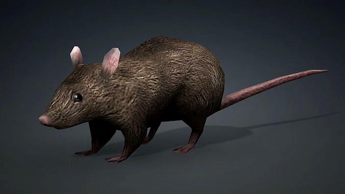 RAT ANIMATED 3d model