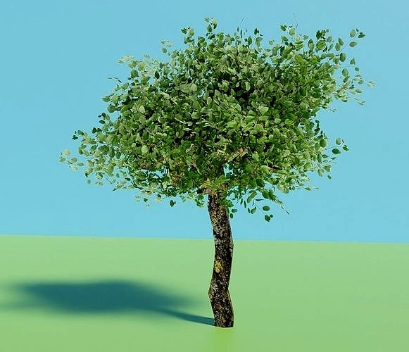 Tree with transparent PBR Textures 3d model