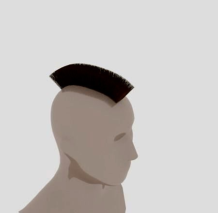 rooster hairstyle 3d model