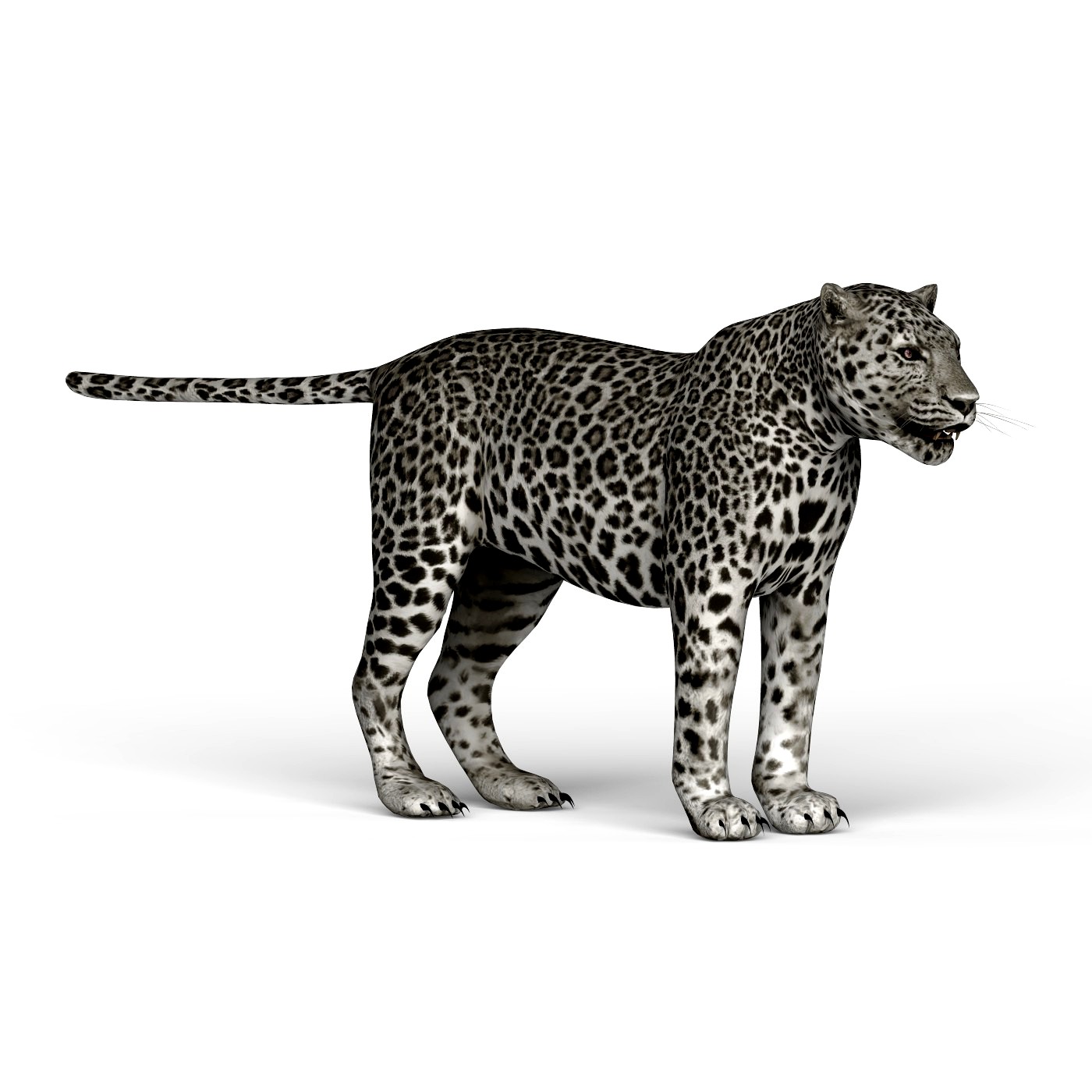 Snow Jaguar 3D Model