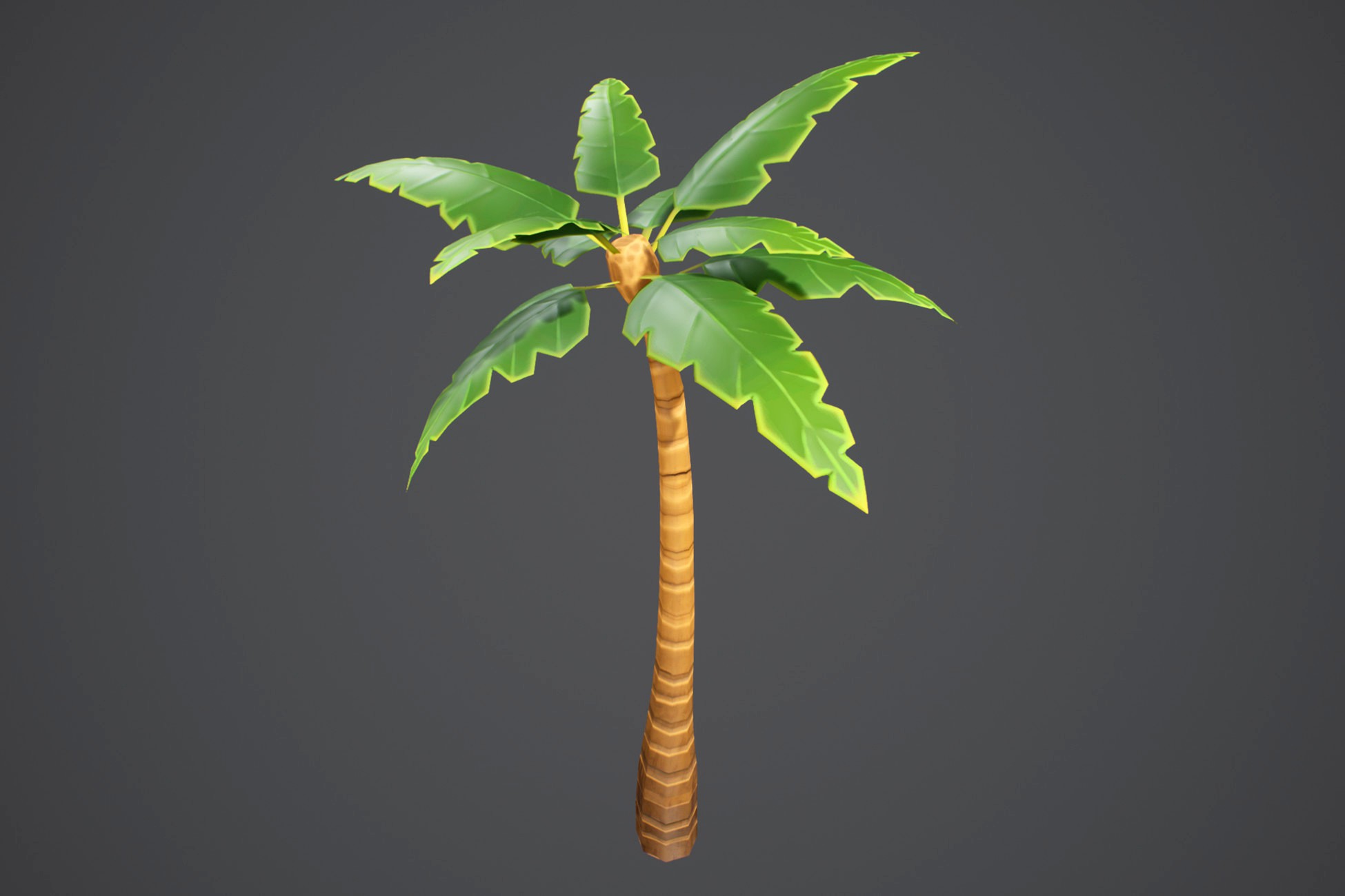 Stylized Palm Tree 02 3d model