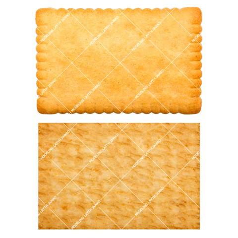 biscuit texture 3d model