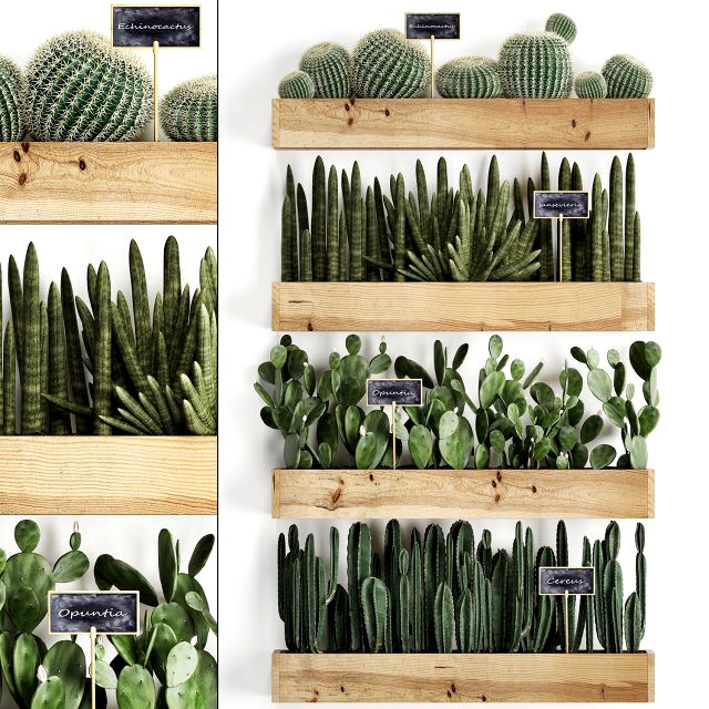 wooden flower boxes wall decor vertical garden 42 3d model