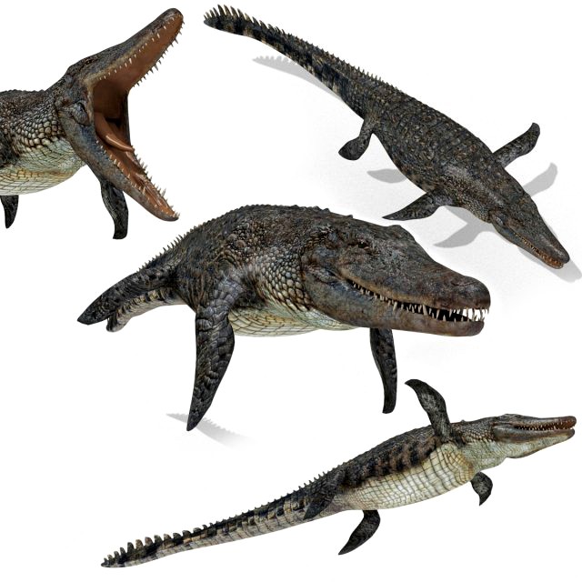 Mosasaurus Rex - 8K animated 3d model