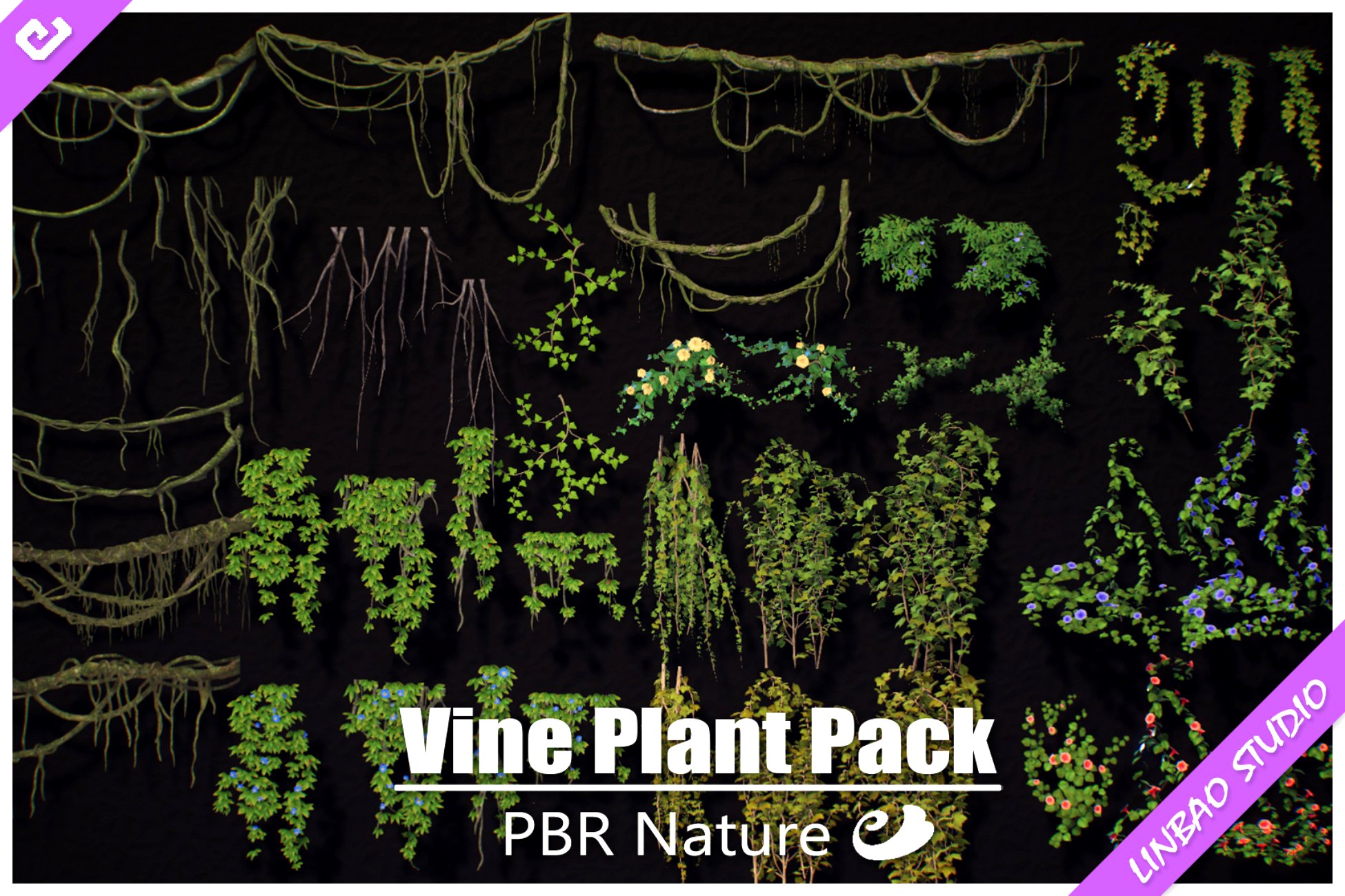 Vine Plant Pack 3d model