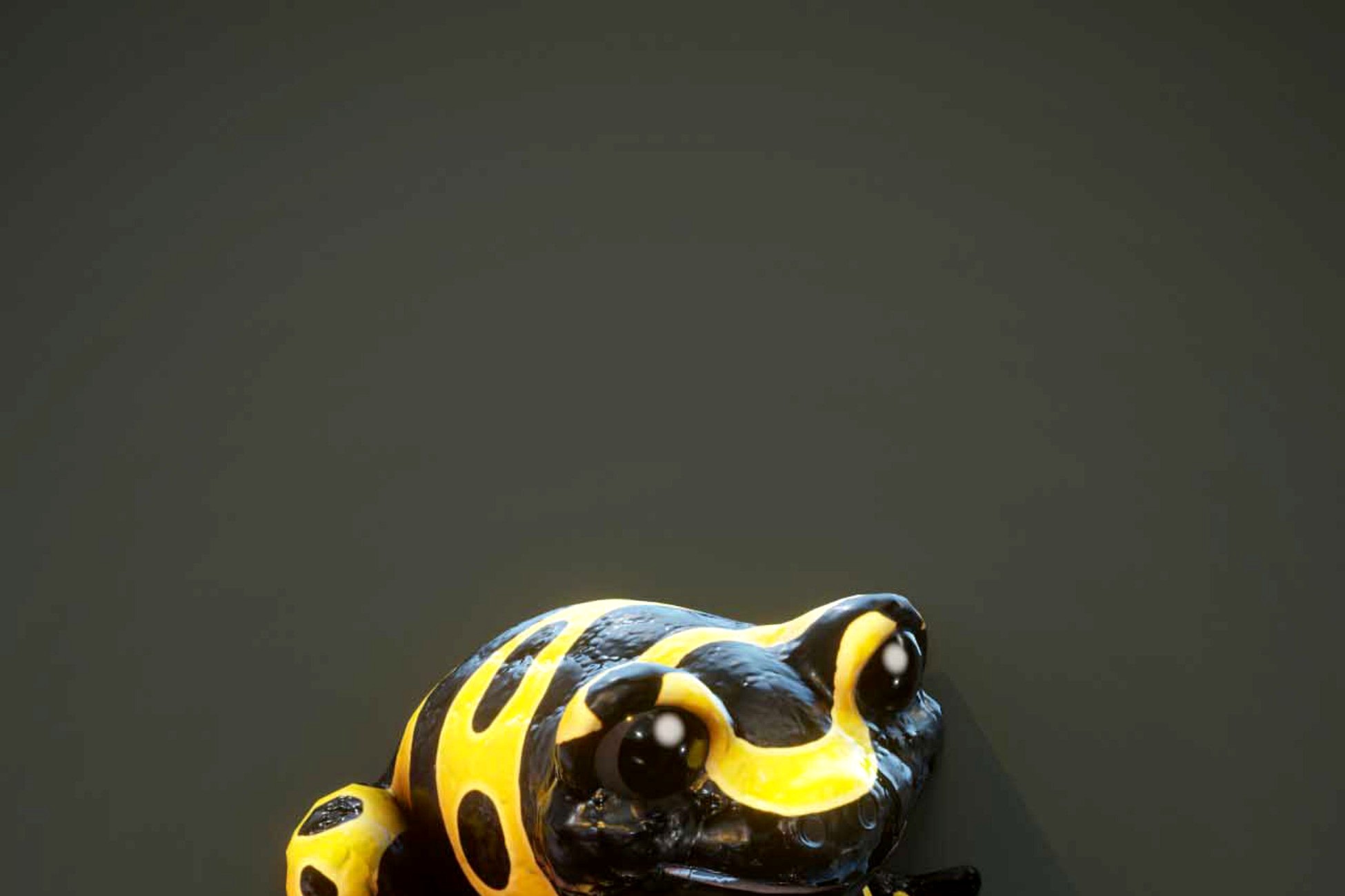 Cartoon Yellow-banded Frog Animated 3D Model