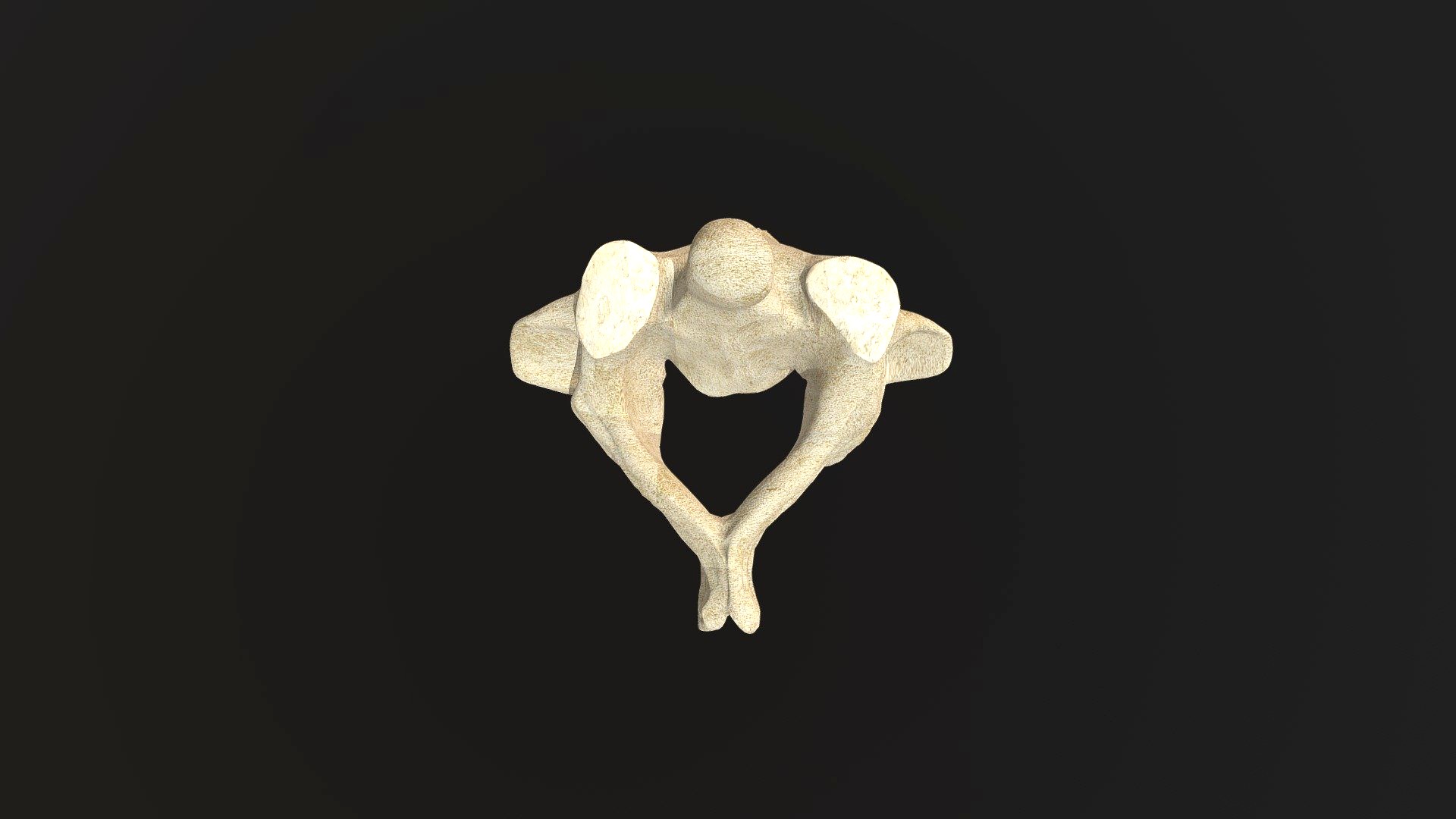 Vertebra Axis / Axis Vertebrae (C2) 3d model