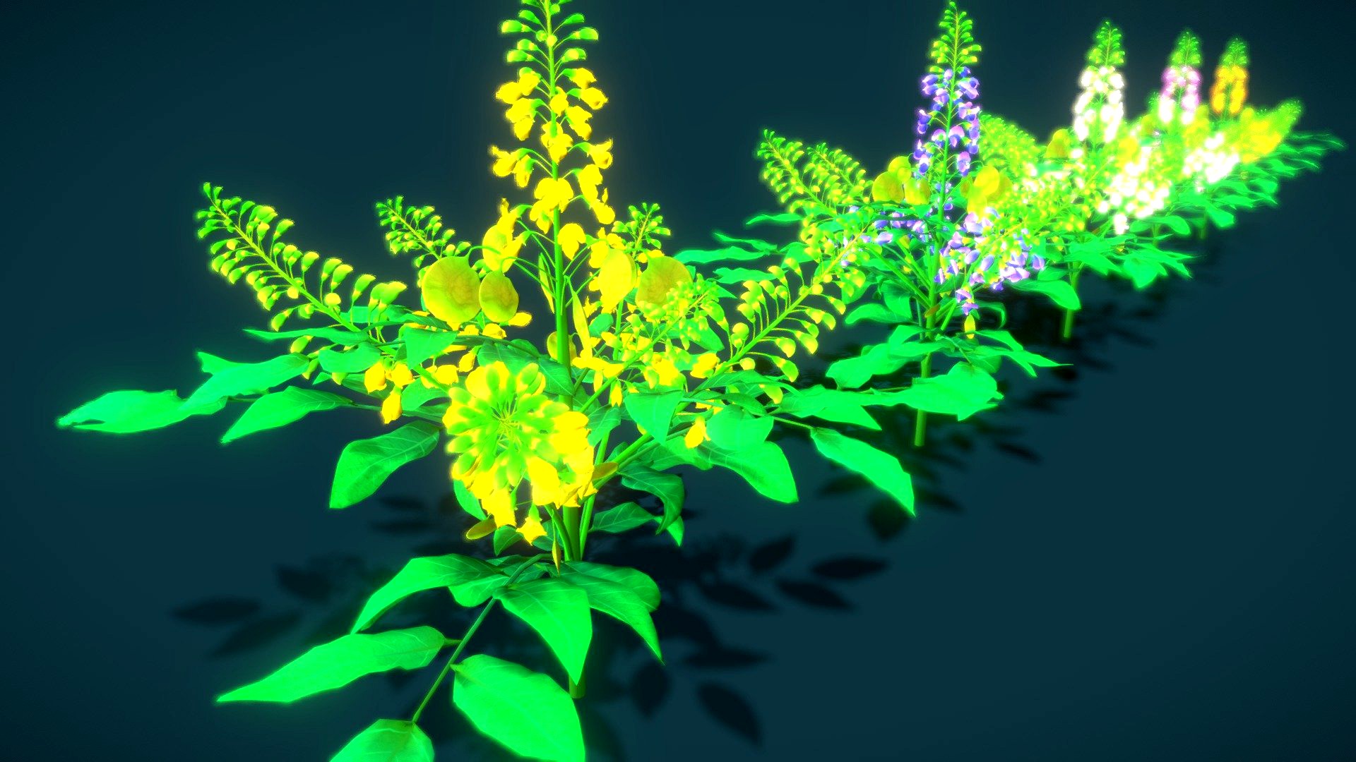Flower Pterocarpus Indicus 3d model