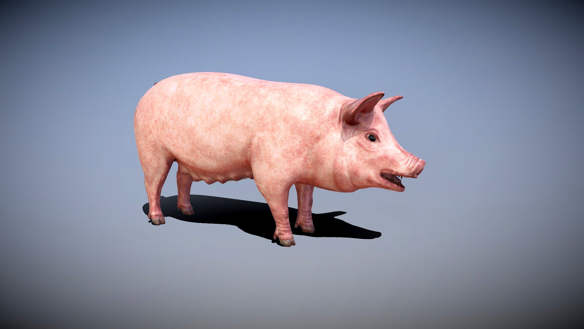 Pig rigged PBR Low-poly 3D model