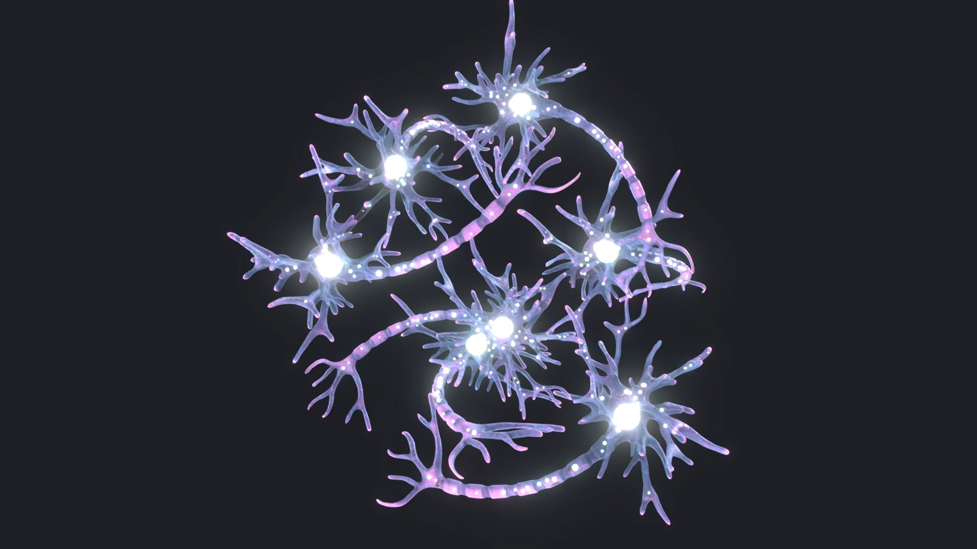 Human Neuron 3d model
