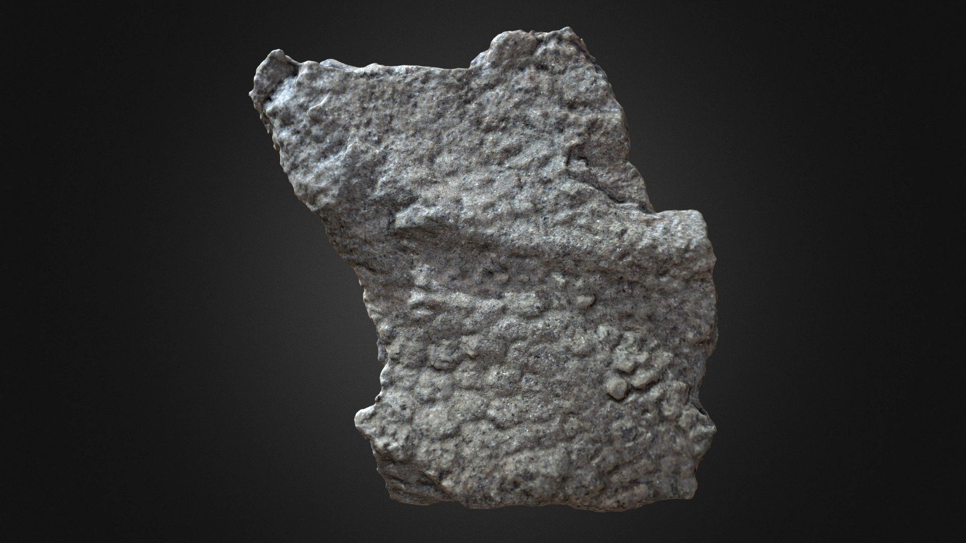 Dinosaur Skin Impression 3d model