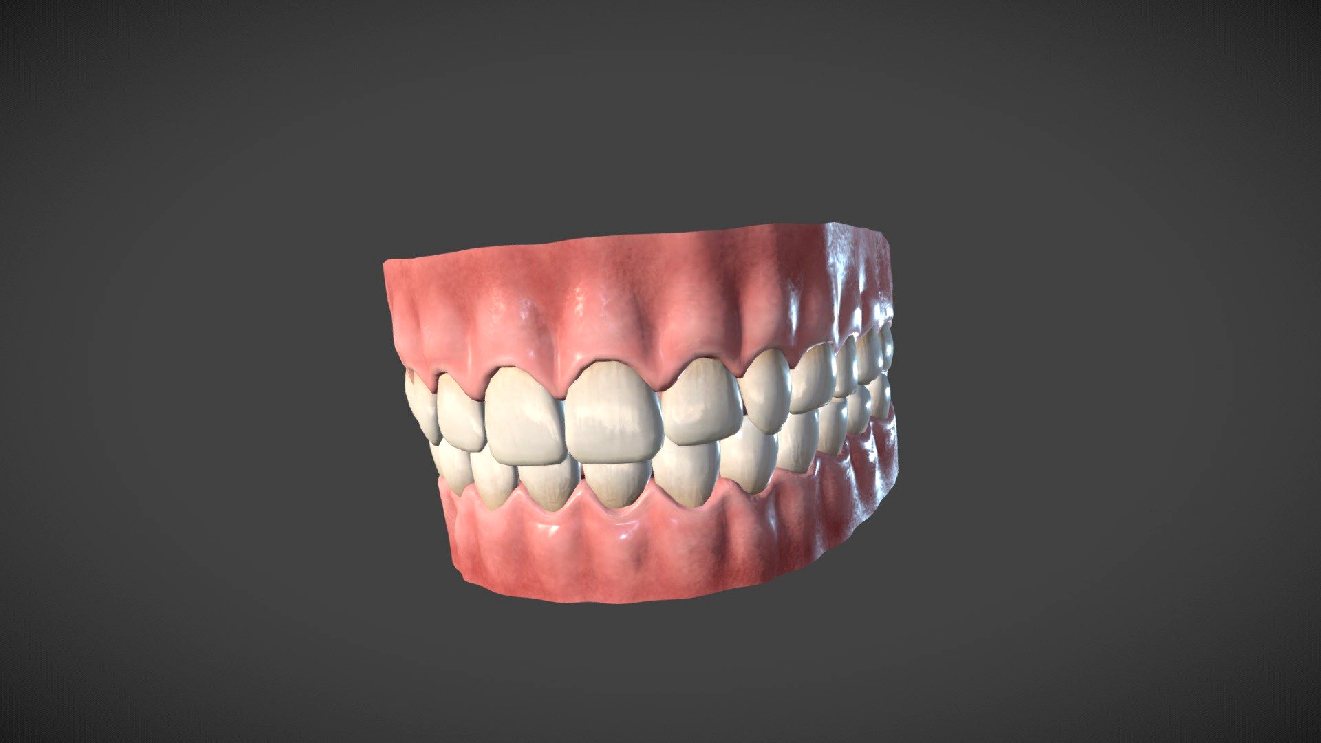 Human Teeth 3d model