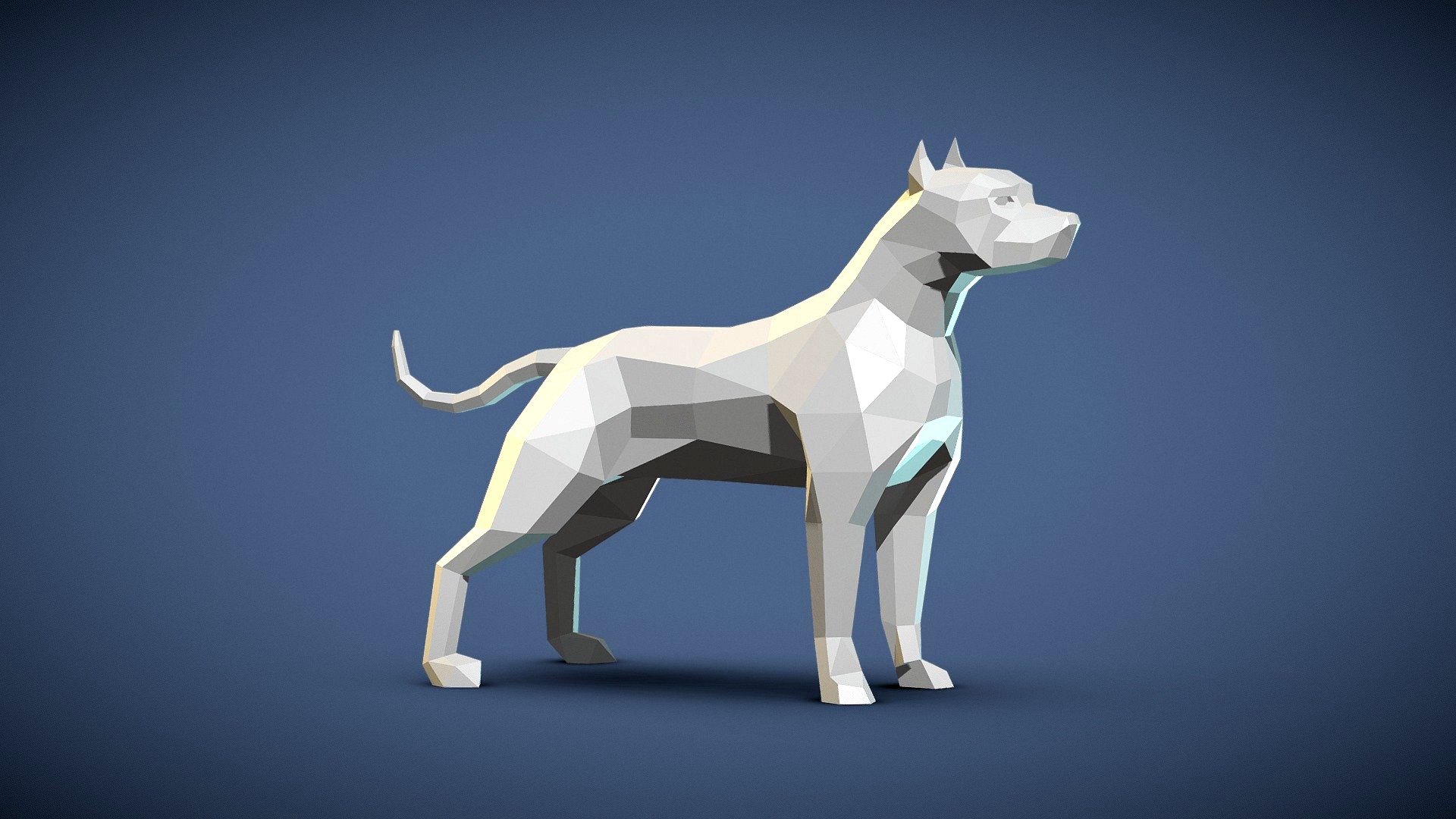 Pitbull low poly 3d model