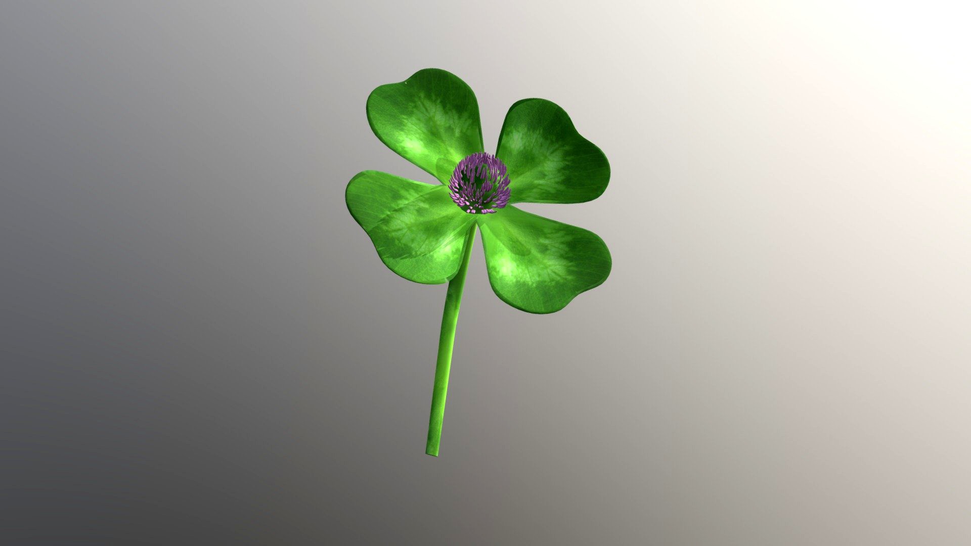 4 Leaf Clover 3d model