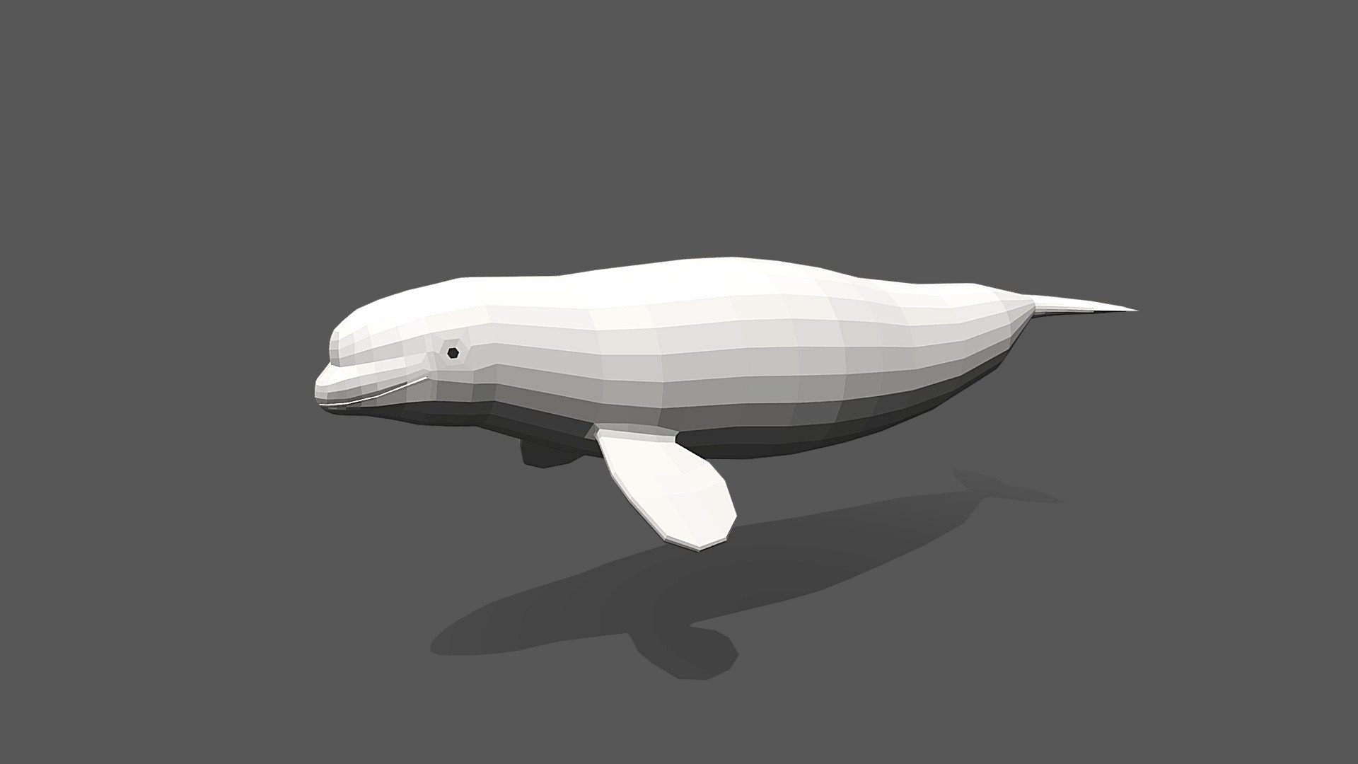 Low Poly Cartoon Beluga Whale 3d model