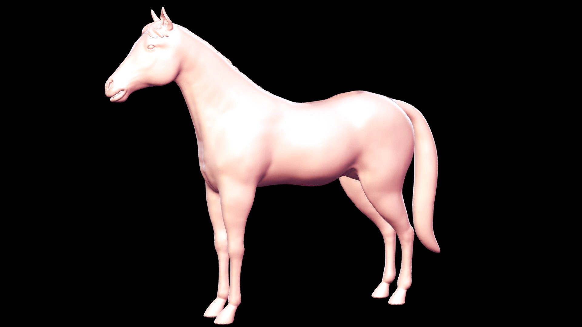 Horse Base Mesh 3D Model