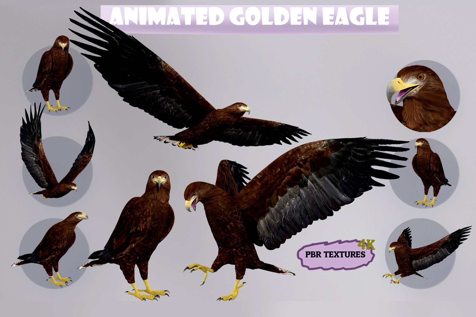 Realistic Animated Golden Eagle 3d model