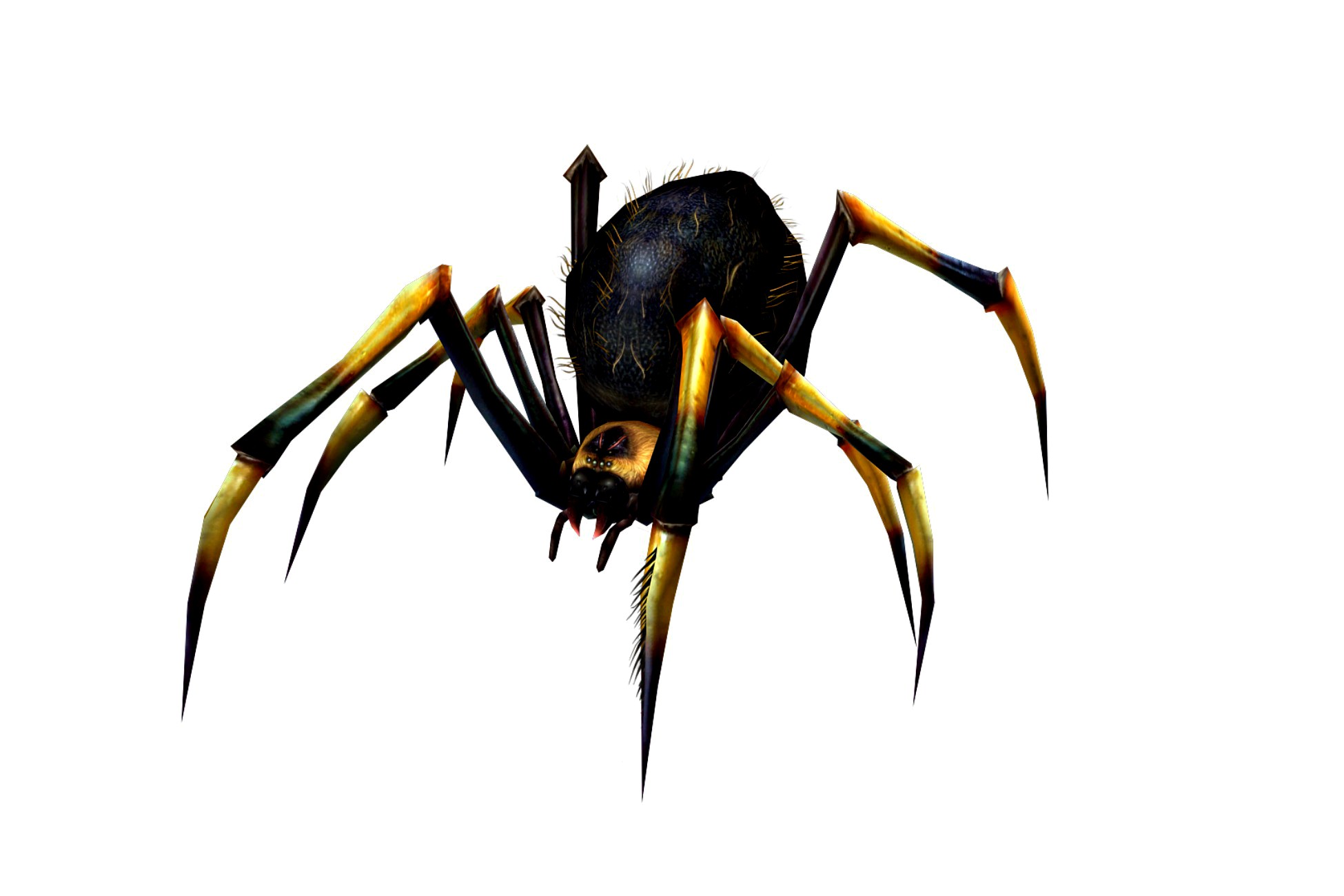 Low-poly Animated Spider 3d model