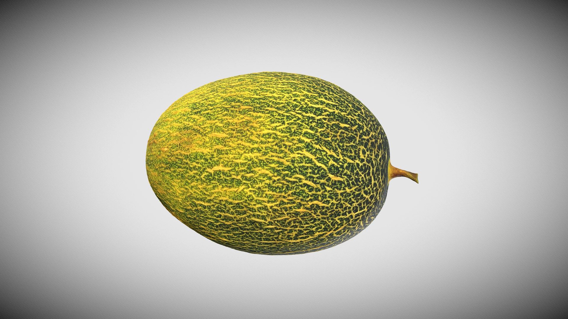 Melon ( Photogrammetry ) 3d model