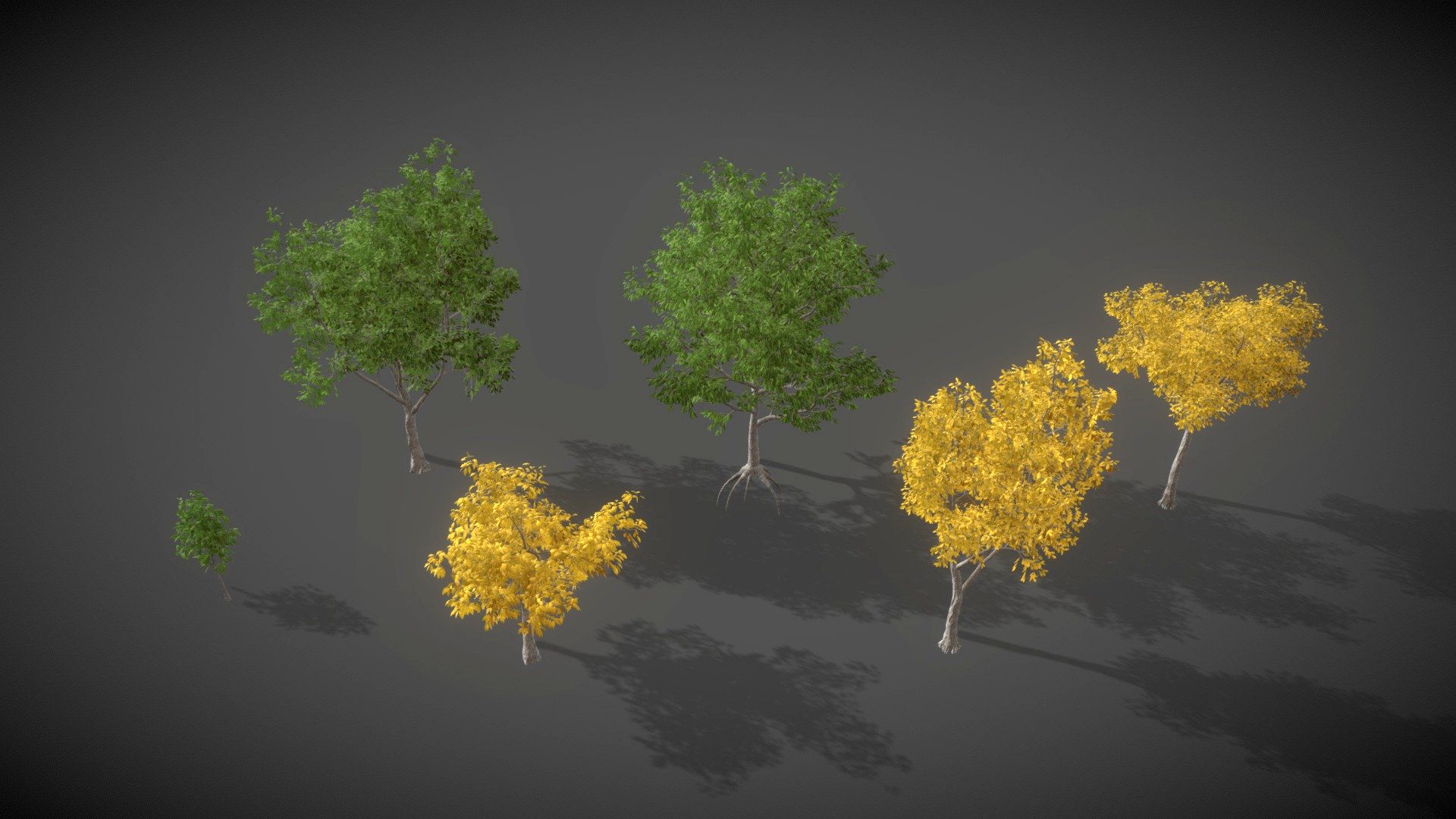 WE07 Juglans Microcarpa (Little Walnut) 3d model