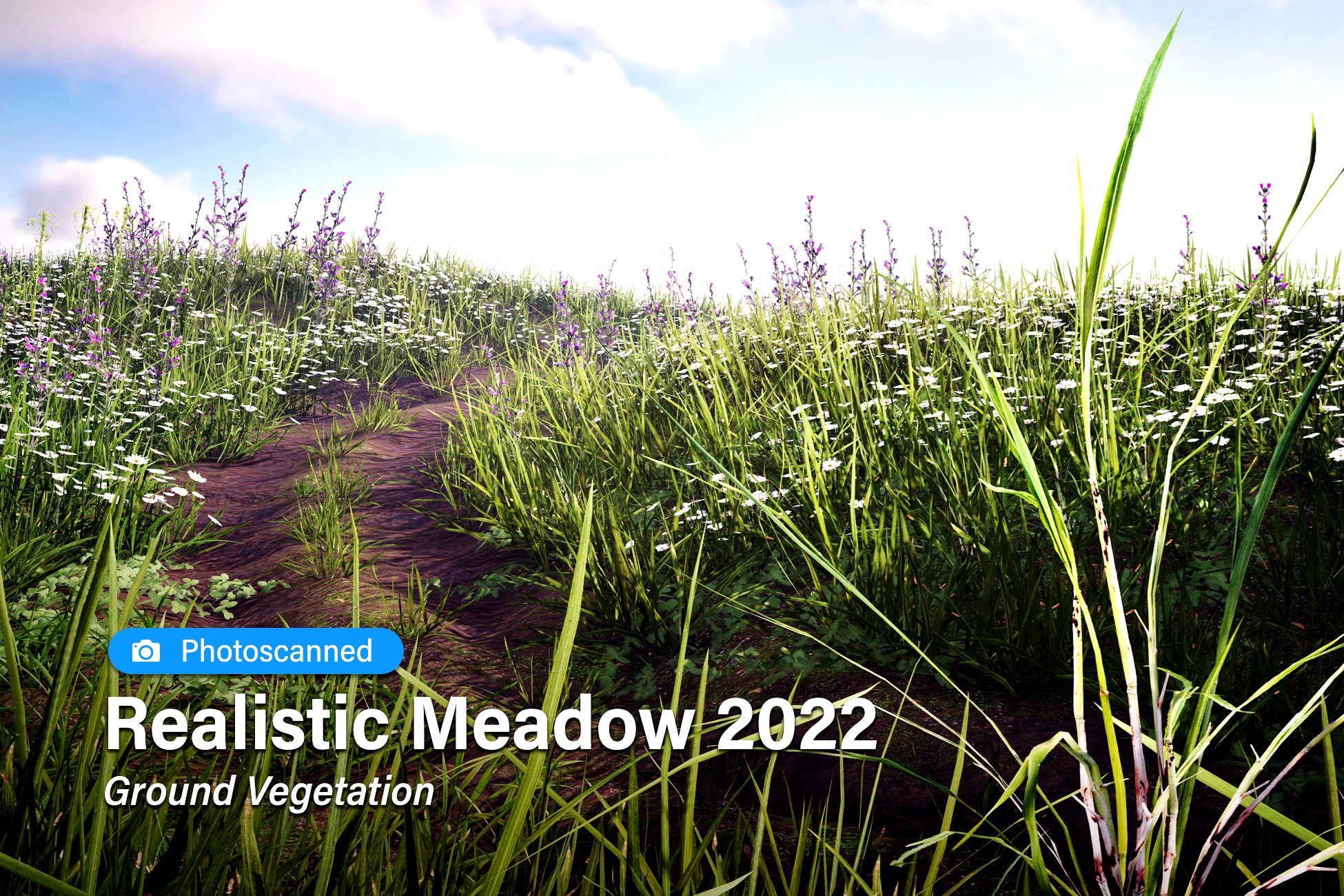 Realistic Meadow 2022 ・ Ground Vegetation 3d model