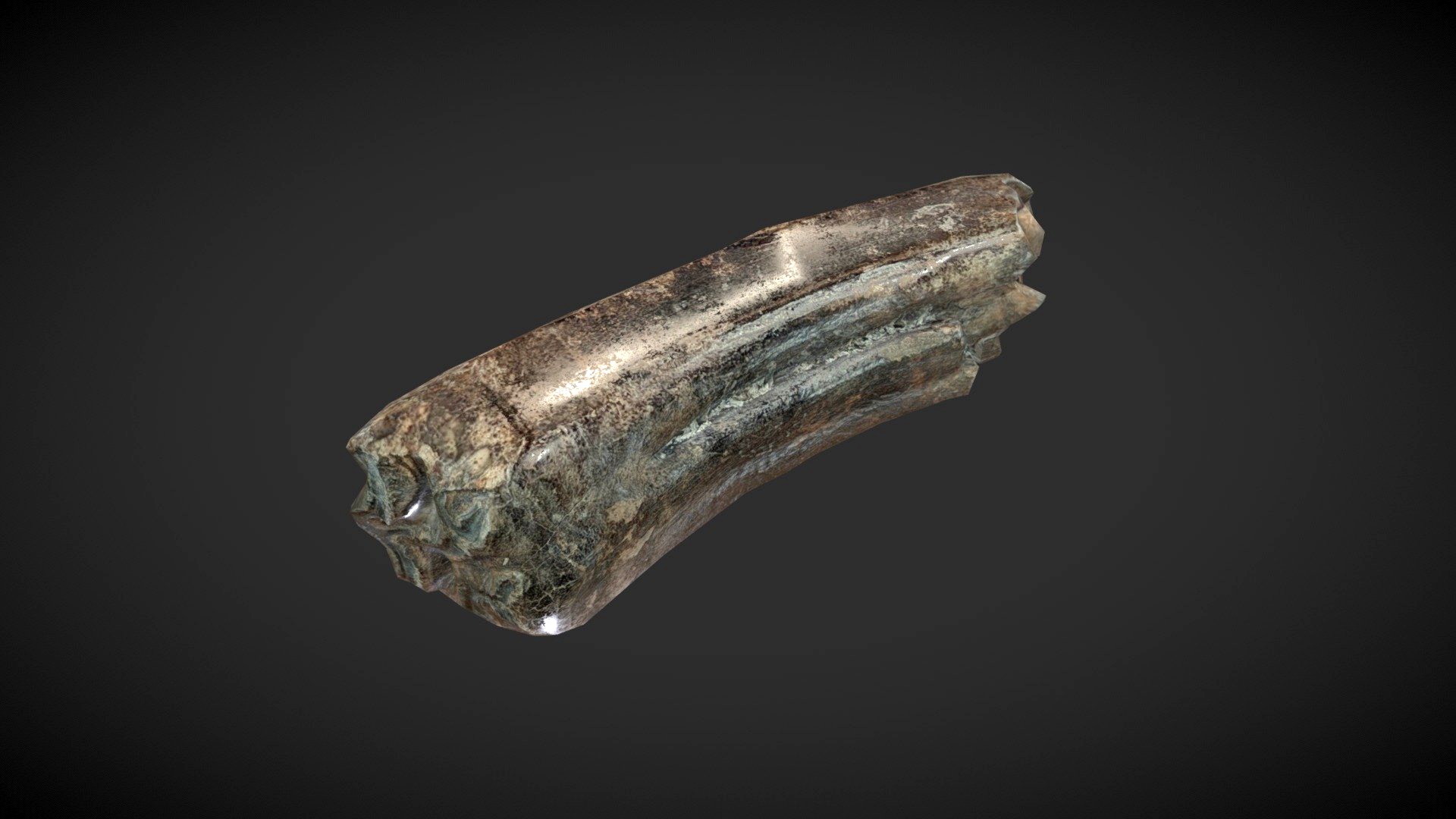 Ice Age Horse Tooth 3d model