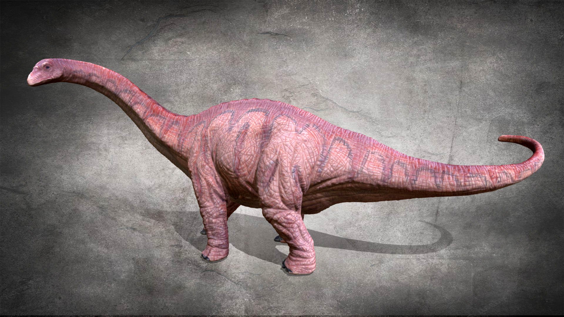 Toy Apatosaurus 3d model