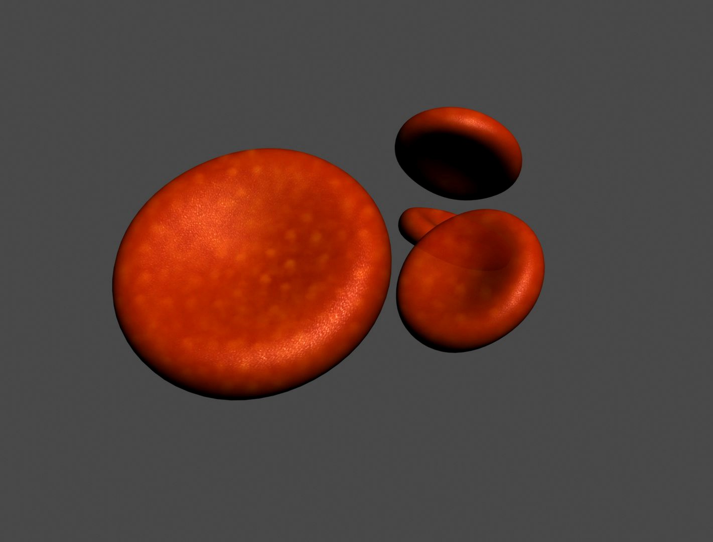 Red Blood Cells.max 3d model