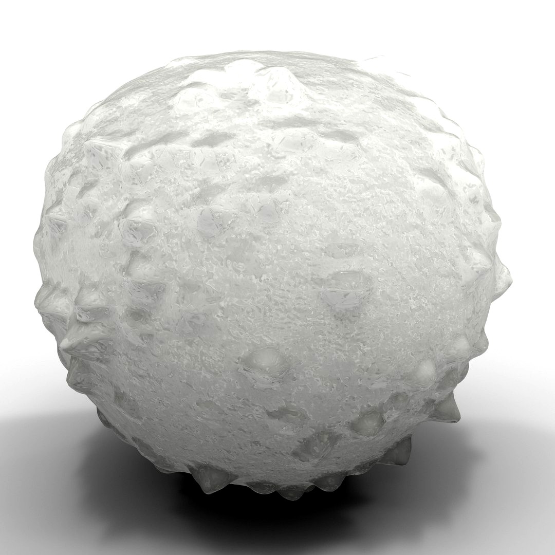 White Blood Cell 3d model