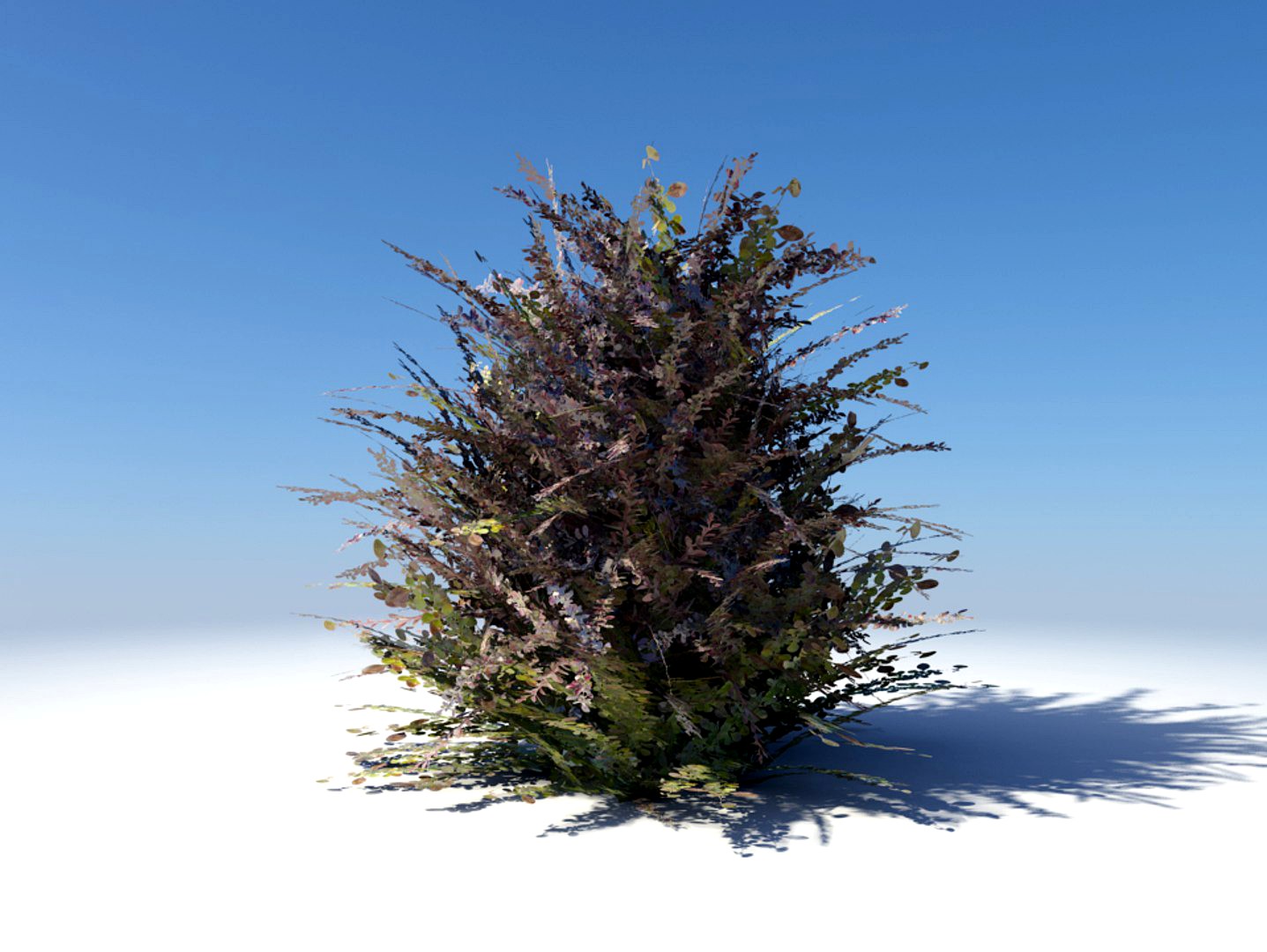 Maya red bush with thorns 3d model