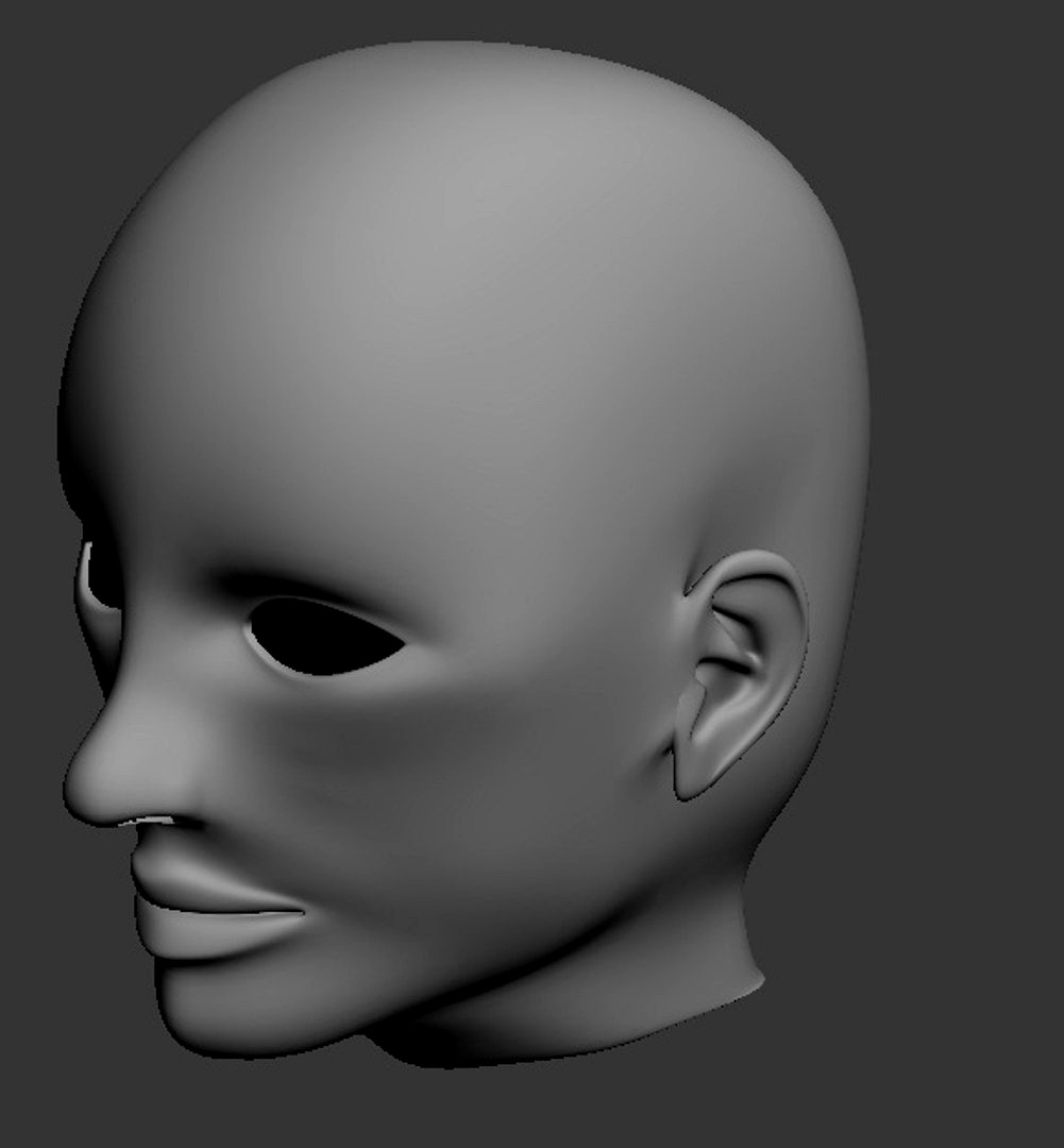 Human Head Template 3d model