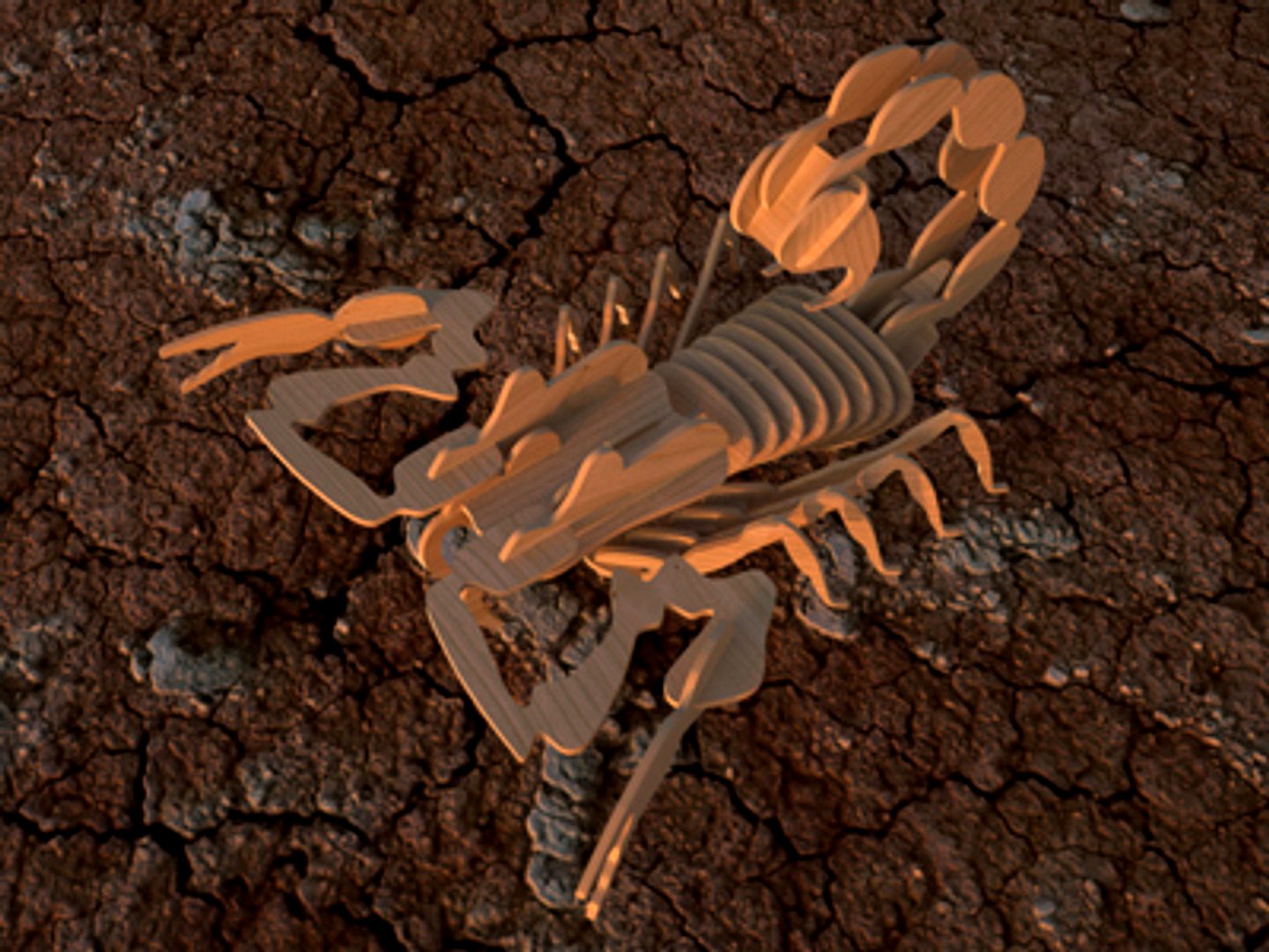 Wooden Scorpion 3d model