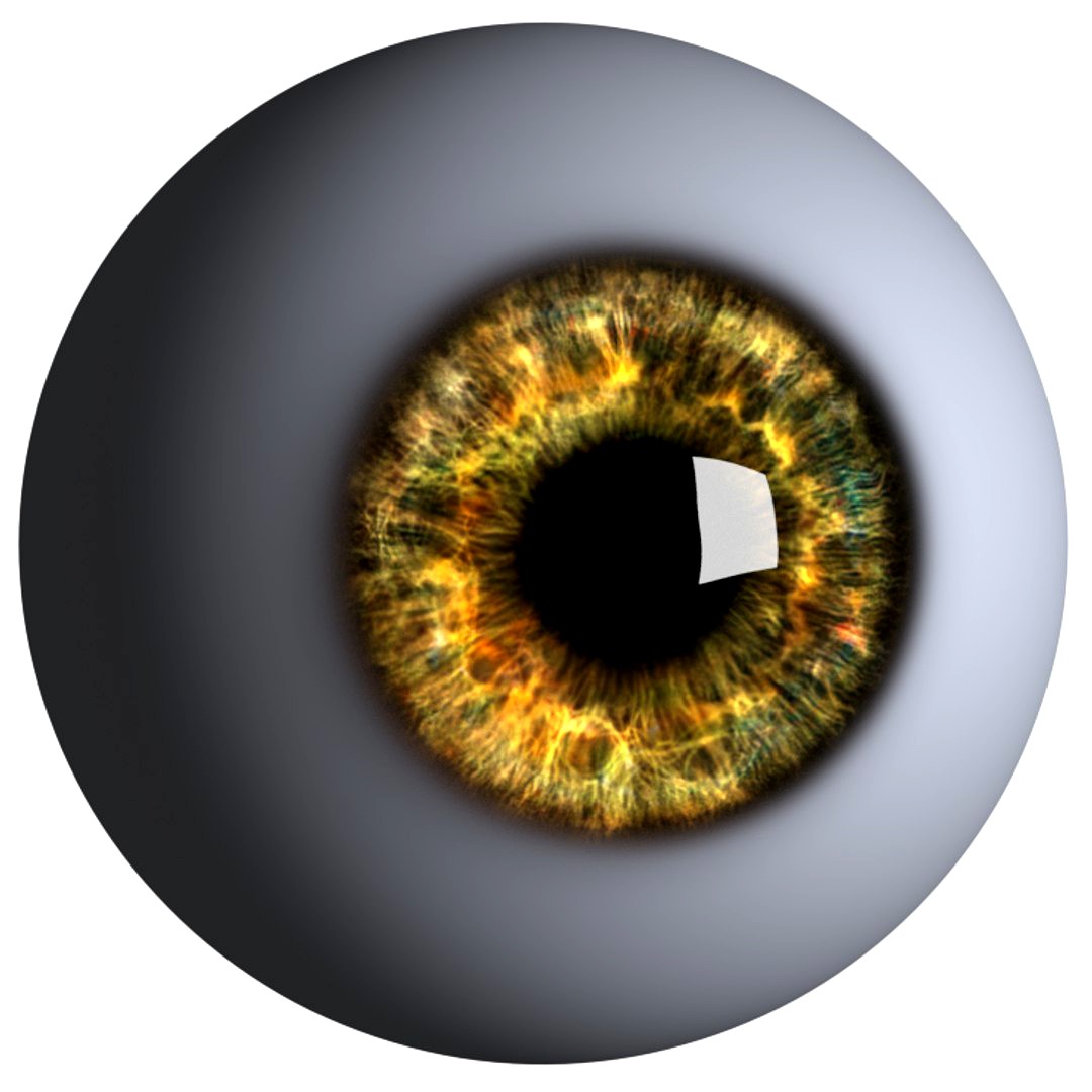 Realistic Human Cartoon Eye 3d model