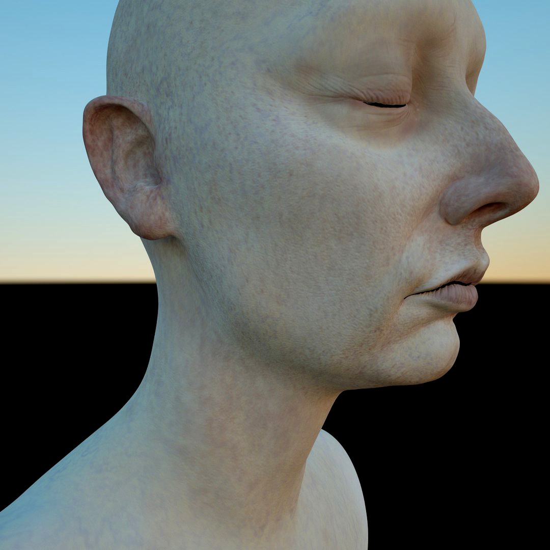 Female head model (OBJ & ZTL) (Mia and her Sisters / ANDRIA) 3d