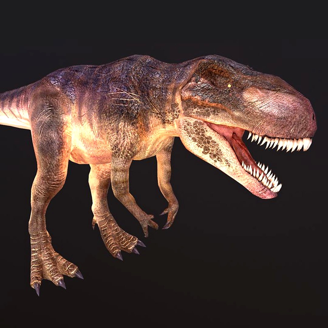 Giganotosaurus 3d model