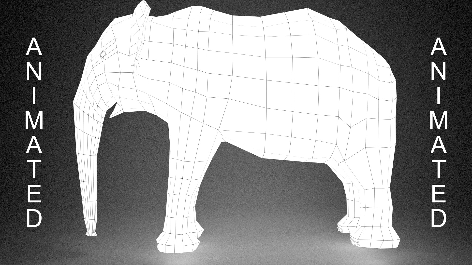 ELEPHANT - BASE MODEL WITH SKELETON 3d