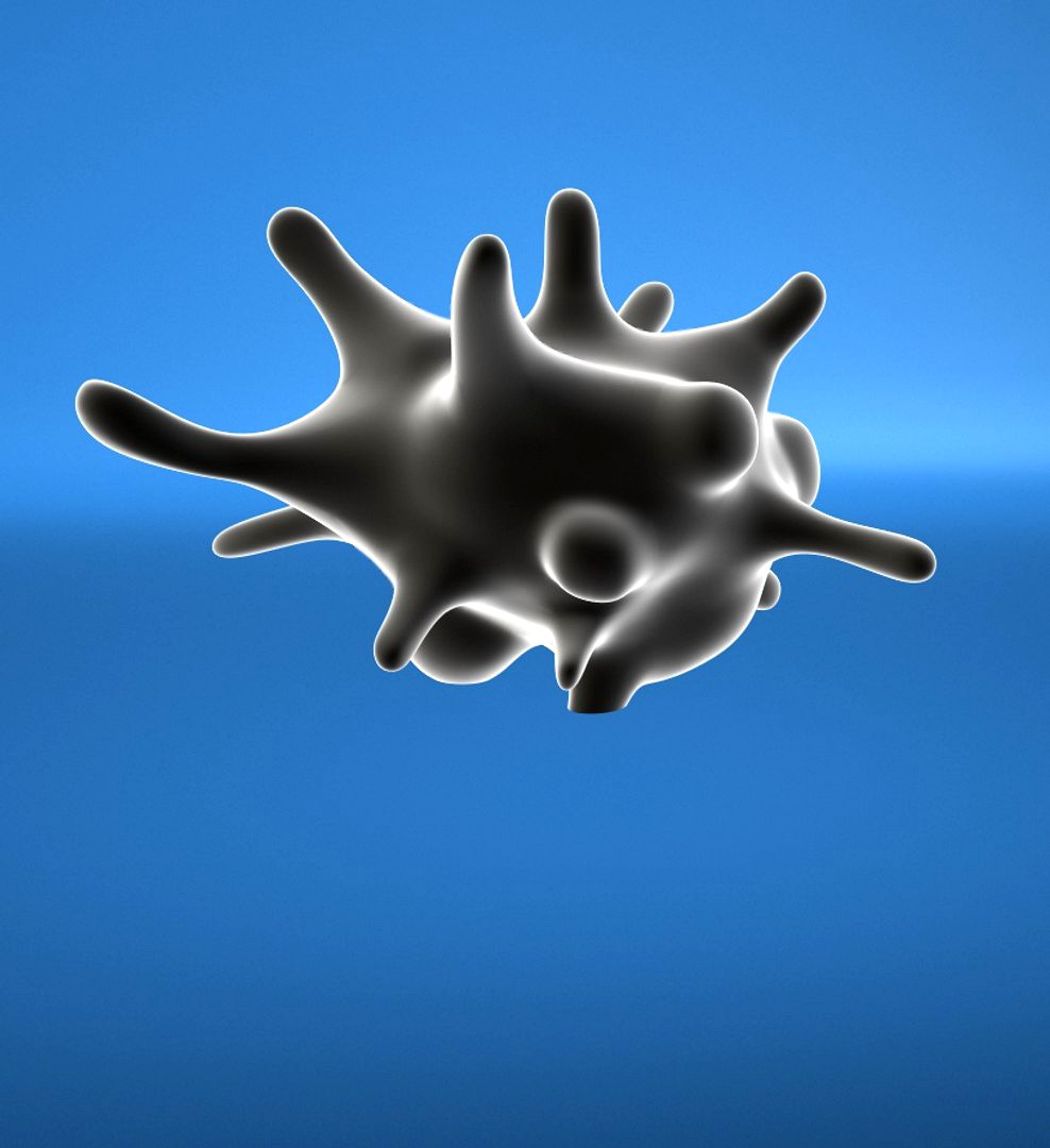 amoeba 3d model