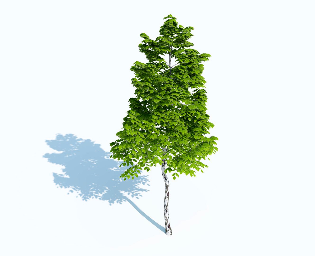 High detailed realistic tree 3d model